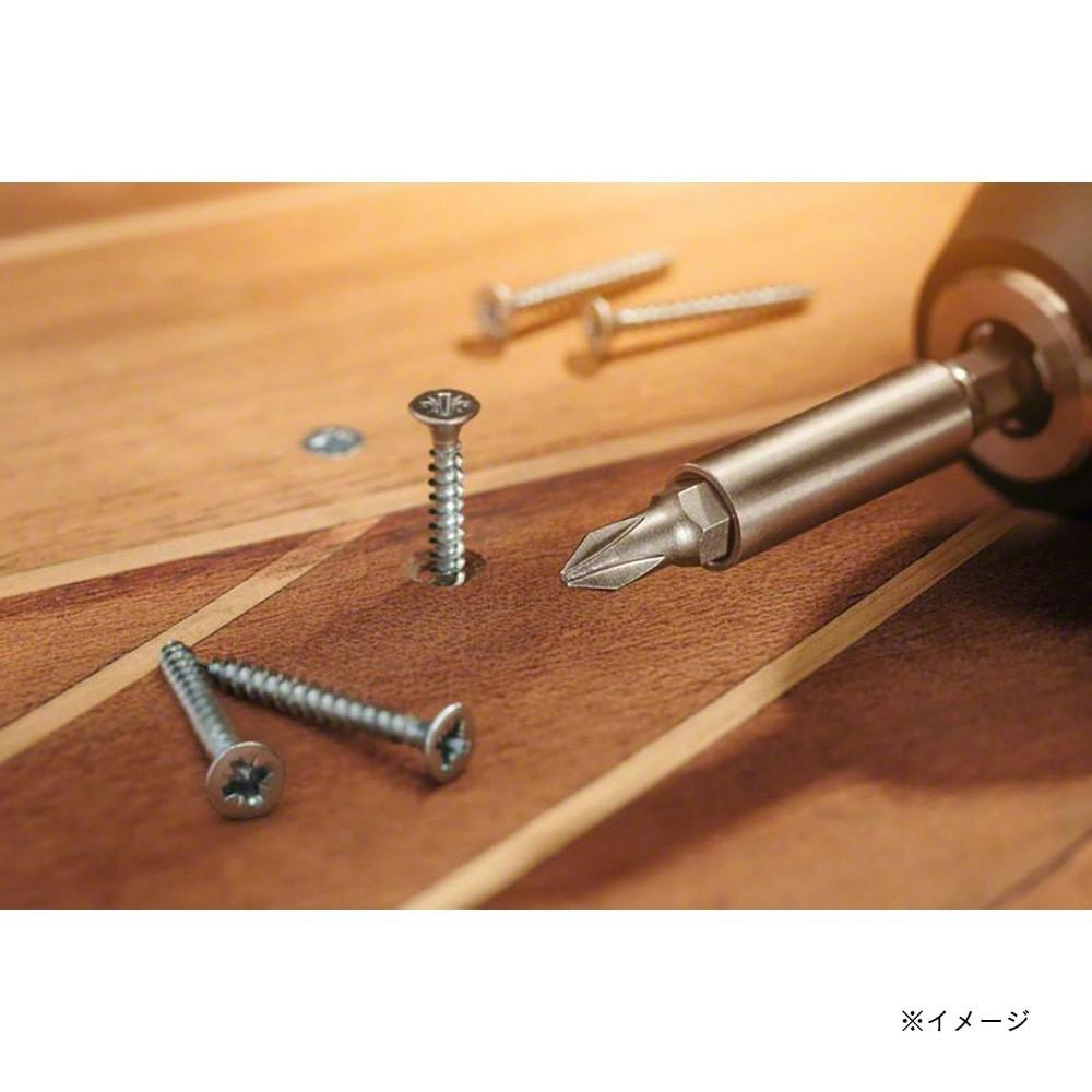 BOSCH ドライバービットセット バイオレット 2607002821 21本入 | 電動工具 通販 | ホームセンターのカインズ