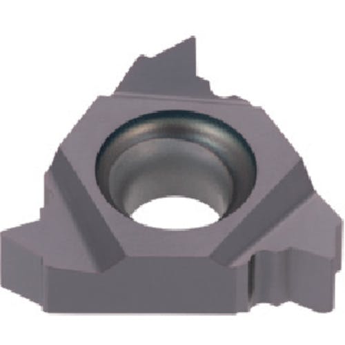 【CAINZ-DASH】タンガロイ タング・スレッド 外径用NPTねじインサート ER－NPT 16ER14NPTF【別送品】 | 通販 | ホームセンターのカインズ