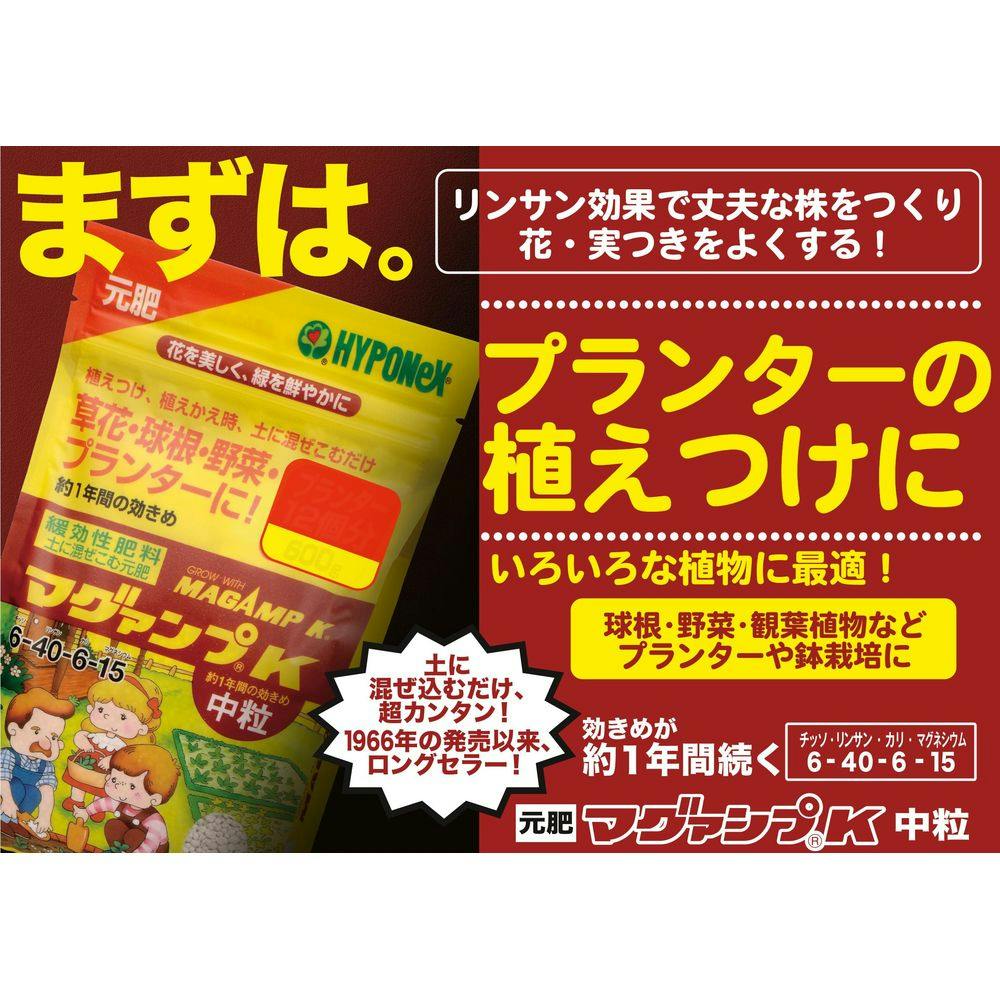 マグァンプK 中粒 元肥 プランター10個分 500g | 用土・肥料 マグァンプK 中粒 元肥 プランター10個分 500g | 用土・肥料