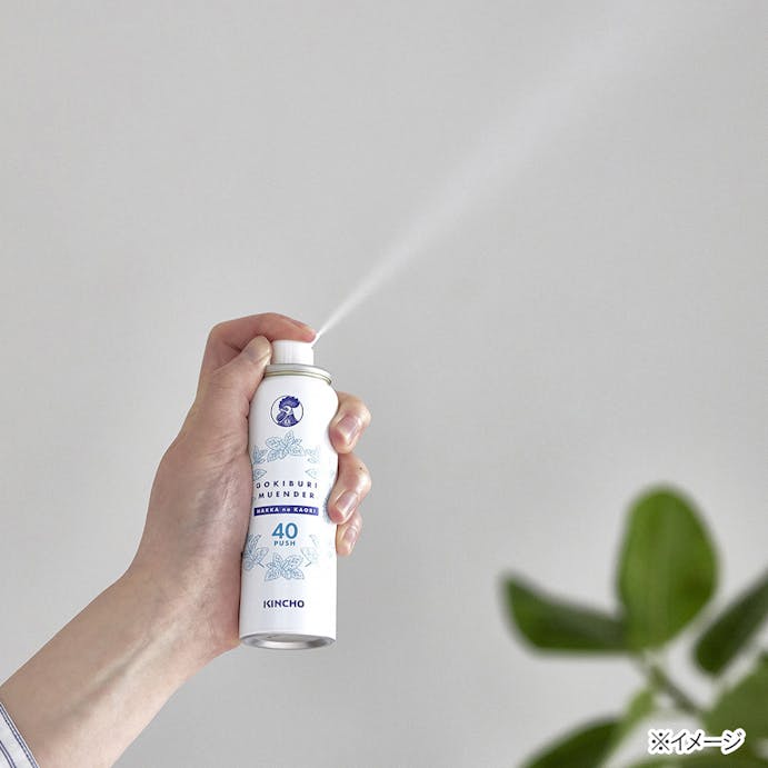 大日本除虫菊 KINCHO ゴキブリムエンダー ハッカの香り 40プッシュ | 日用品・生活用品・洗剤 | ホームセンター通販【カインズ】