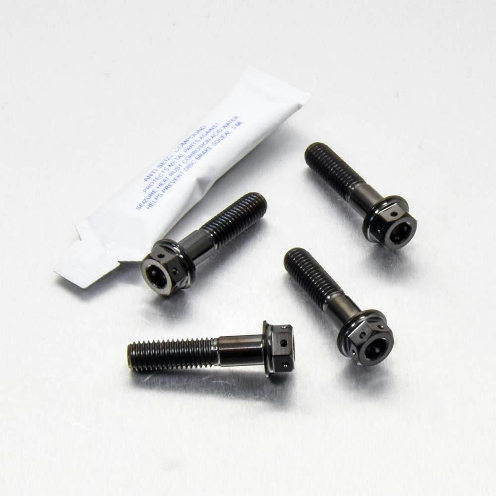 Pro-Bolt プロボルト Titanium Rider Footrest Hanger Bolt Kit DualDrive ...