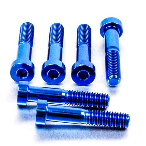 Pro-Bolt プロボルト Titanium Brembo Caliper Pinch Bolt M8x(1.25mm)x40mm Pack ...